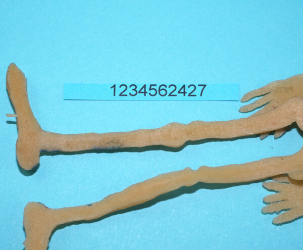 RUBBER JIGGLER SKELETON MONSTER 1960s HONG KONG VENDING MACHINE TOY ...